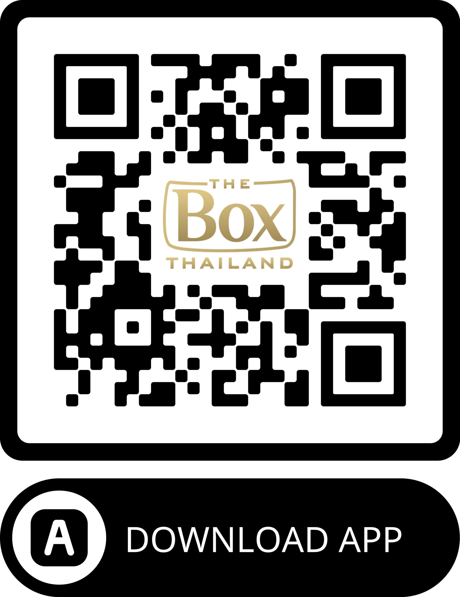 Boxing classes - The Box Thailand